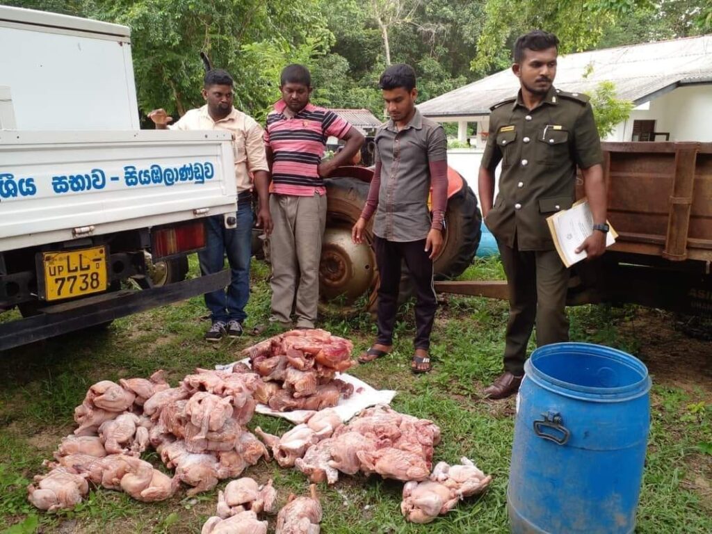 චිකන් කනවද?මේ ගැන අනිවාර්යයෙන්ම හිතන්න - Life Traveler